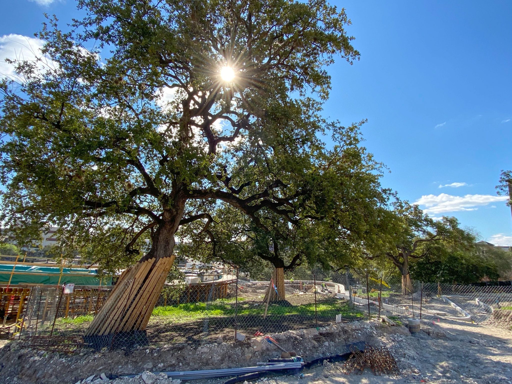 Going Green at Waterloo Park - Waterloo Greenway Conservancy