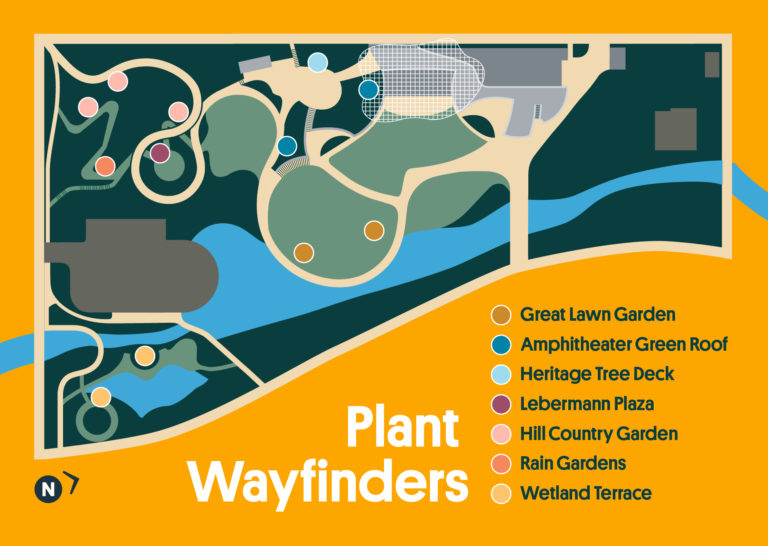 Navigating Native Plants in Waterloo Park - Waterloo Greenway Conservancy
